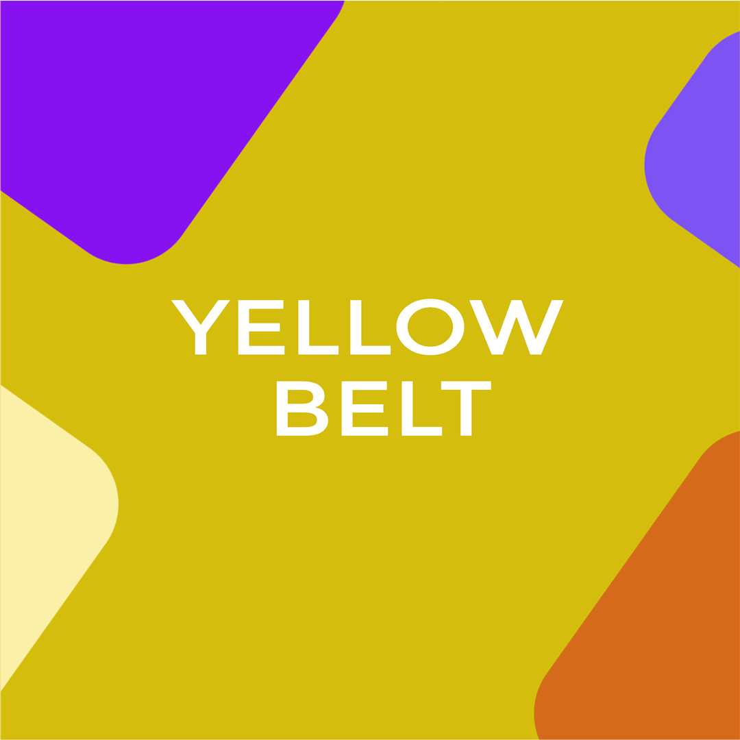 FORMATION ET PRÉPARATION À LA CERTIFICATION LEAN SIX SIGMA YELLOW BELT ...